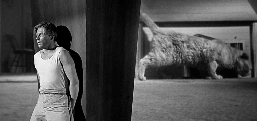 7 Films About the World of Miniature People – Spotlight on Film